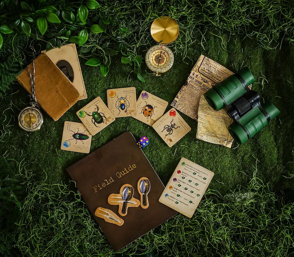 Jewel Box Board Game Rules – How to Play, Beetle Scoring, and Strategy ...