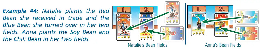 Bohnanza Rules – How to Play Bohnanza, Setup, and Scoring Guide