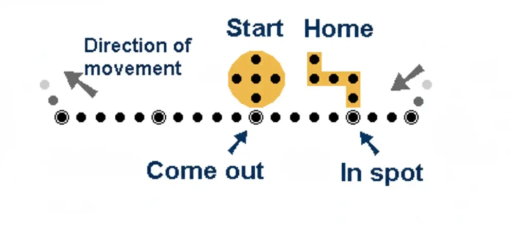 How to Play Pegs & Jokers – Complete Rules, Strategy, and Variations