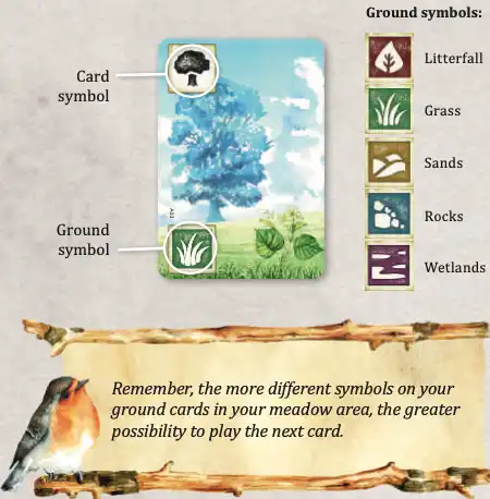 Meadow Board Game Rules – Complete Guide, Gameplay & Scoring
