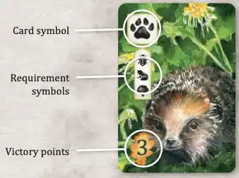 Meadow Board Game Rules – Complete Guide, Gameplay & Scoring